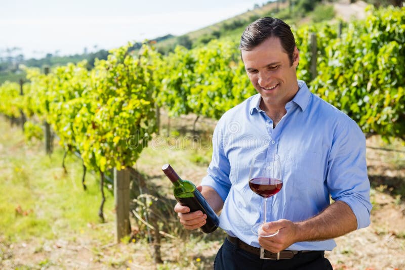 Smiling Vintner Examining Wine Stock Photo - Image of countryside ...