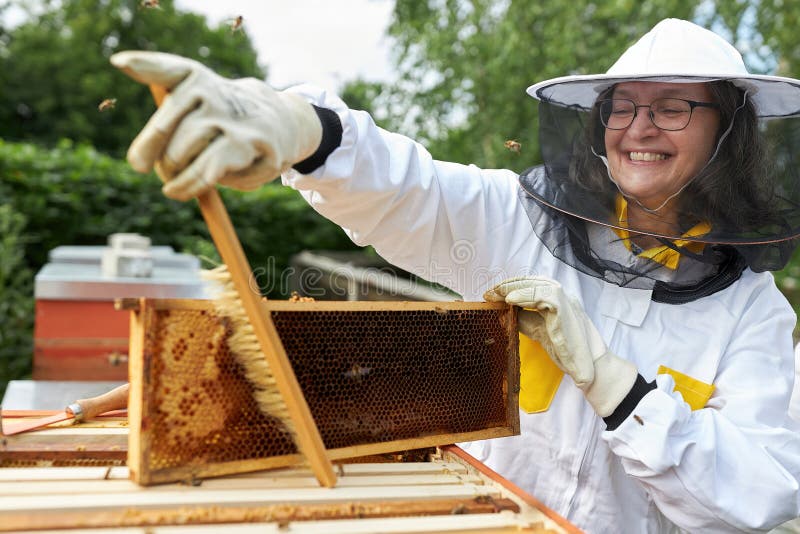 Smiling Woman As Beekeeper Using Broom To Brush Off Bees Stock Photo ...