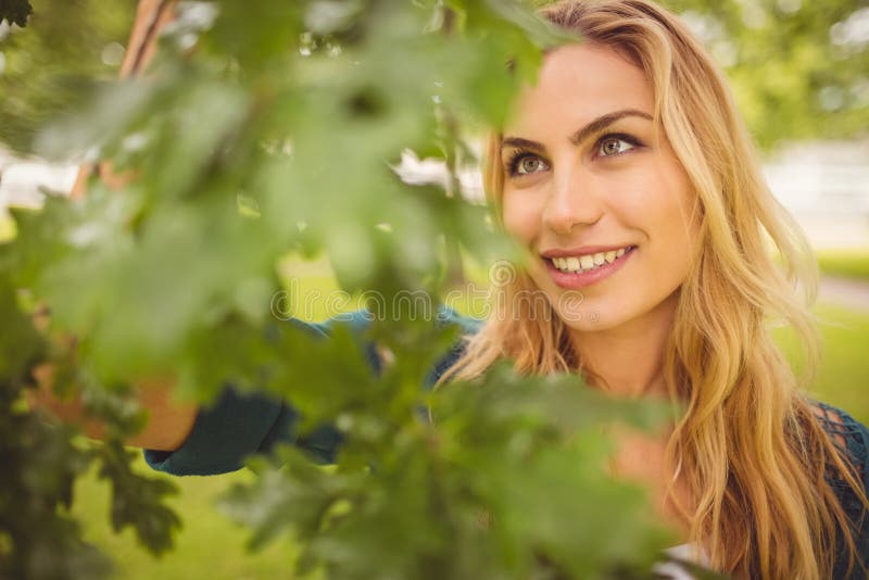Smiling Woman Standing by Tree at Park Stock Photo - Image of adult ...