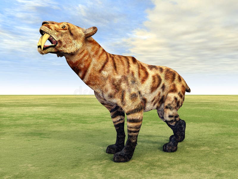 Smilodon stock illustration. Illustration of tooth, science - 33473934