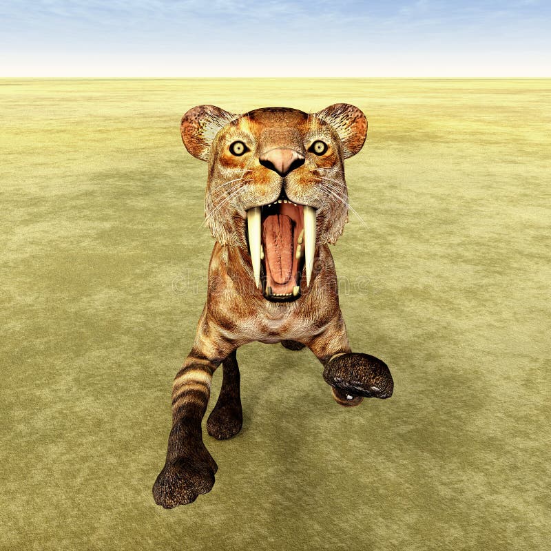 Smilodon stock illustration. Illustration of saber, tooth - 30481715
