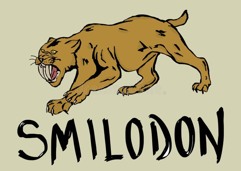 Machairodont Stock Illustrations – 2 Machairodont Stock Illustrations ...