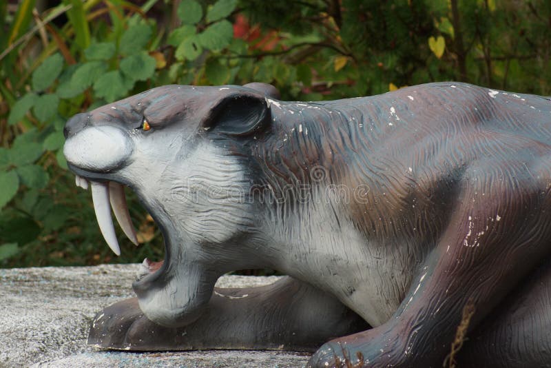 Smilodon stock image. Image of carnivore, feline, felidae - 46995605