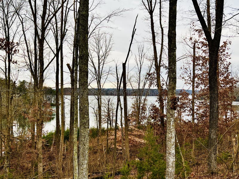 Smith Mountain Lake in Virginia Stock Photo - Image of leaf, soil ...