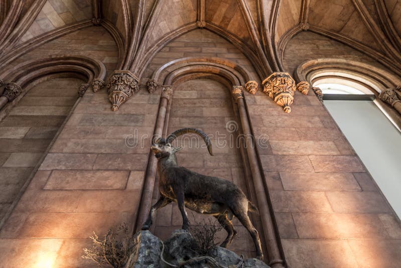 Smithsonian castle editorial image. Image of washington - 61557525