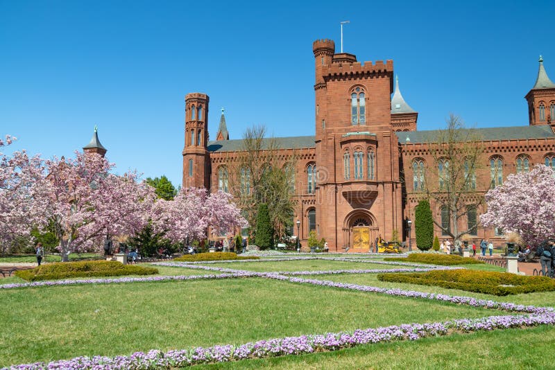 Smithsonian Institution Garden in Spring Blooming Magnolia Under a Blue ...