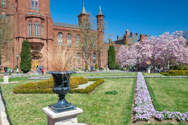 Smithsonian Institution Garden in Spring Blooming Magnolia Under a Blue ...