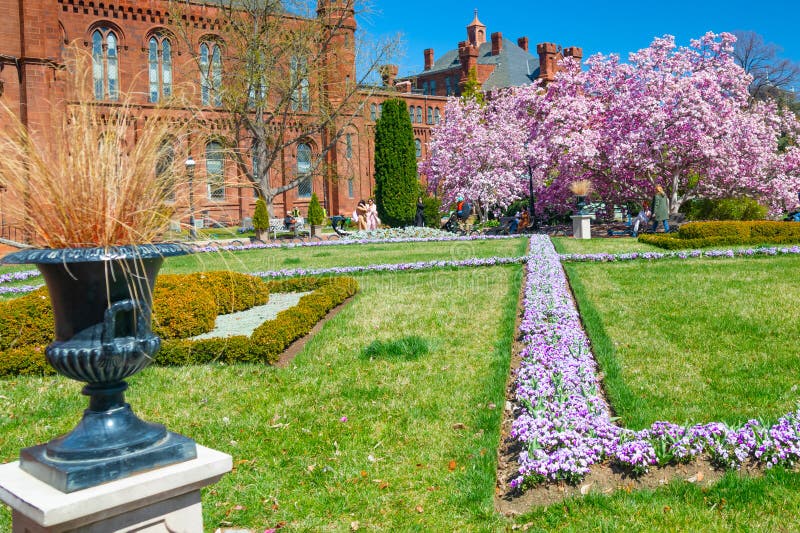 Smithsonian Institution Surrounded by Magnolia Blossoms in Washington, DC Editorial Photography ...