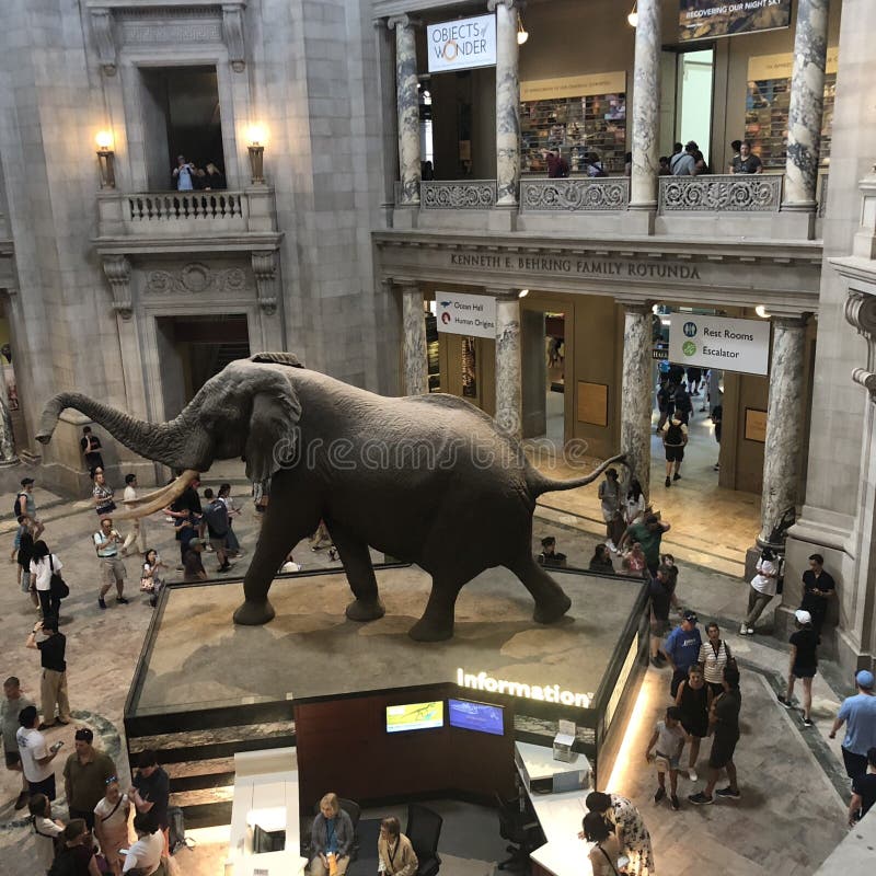 Smithsonian the National Museum of Natural History Washington DC ...