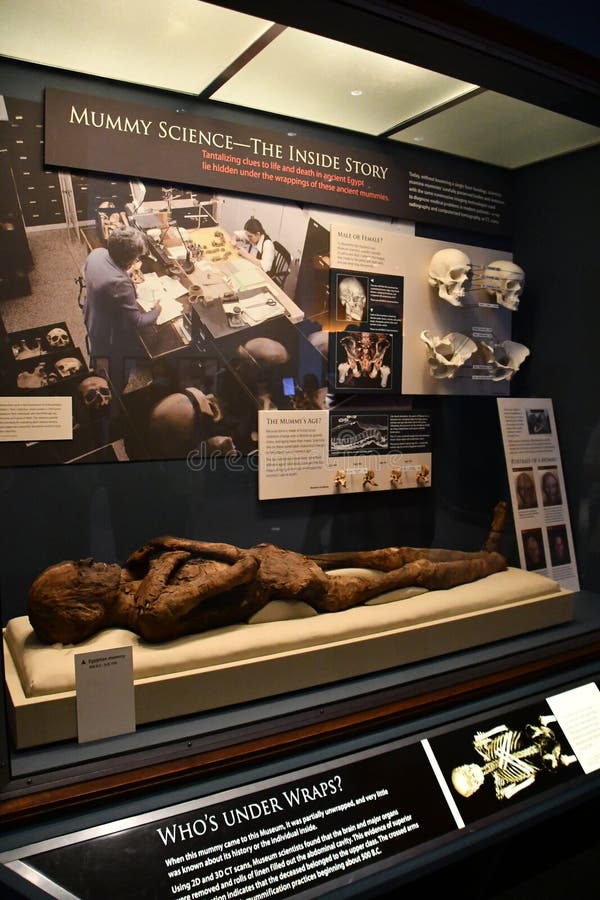 Smithsonian National Museum of Natural History in Washington DC ... Smithsonian National Museum of Natural History in Washington DC ...