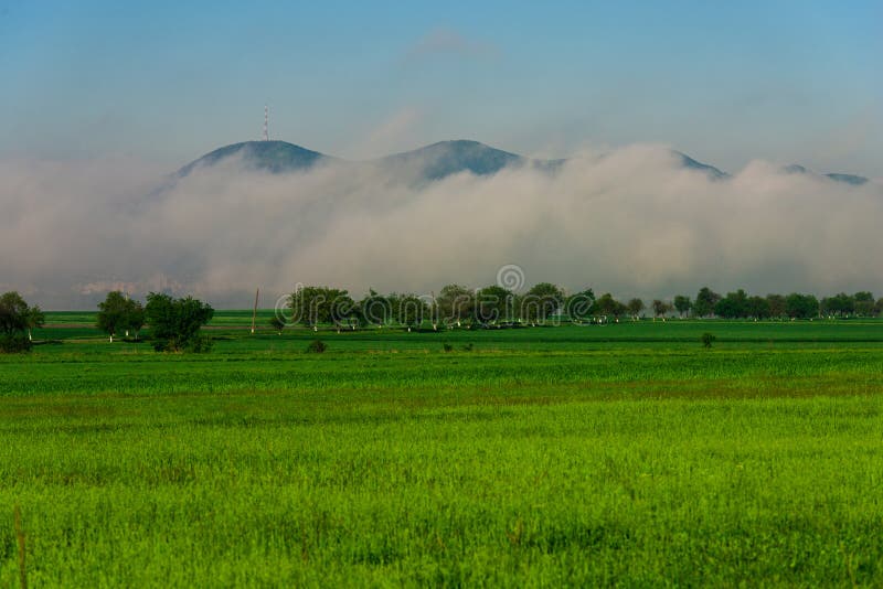 Smog stock image. Image of magnolia, amazing, landscape - 70900083