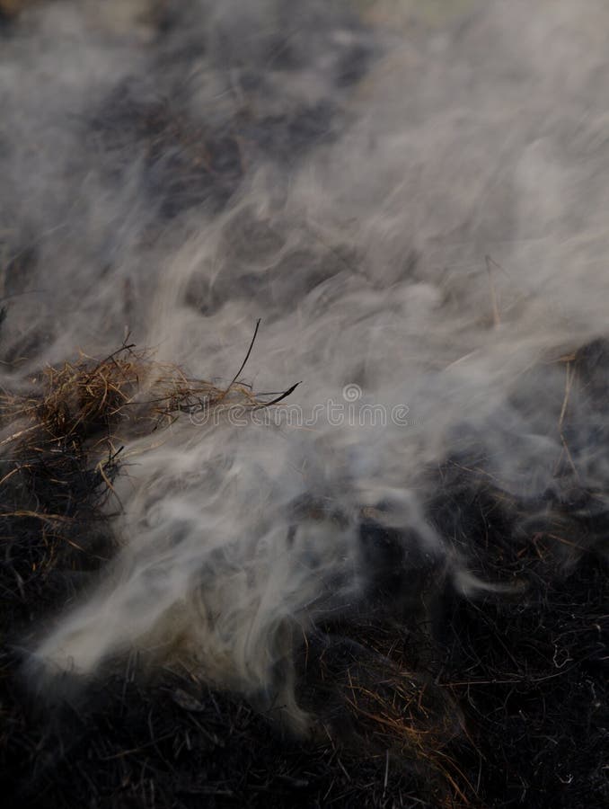 Coal stock image. Image of cooking, particles, burn, smoke - 1054077