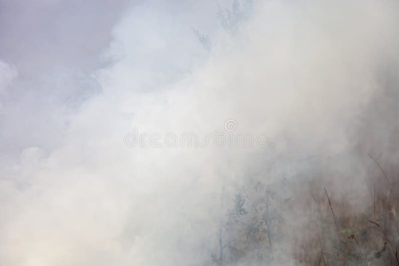 Smoke abstract background stock image. Image of light - 220266755