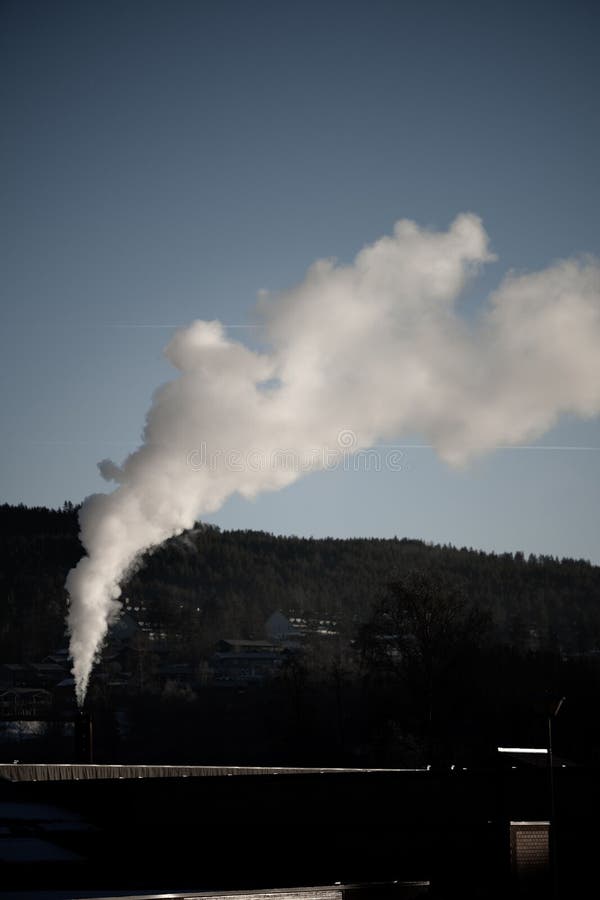 Smoke in Air Surrounded by Dense Trees Stock Image - Image of forest ...