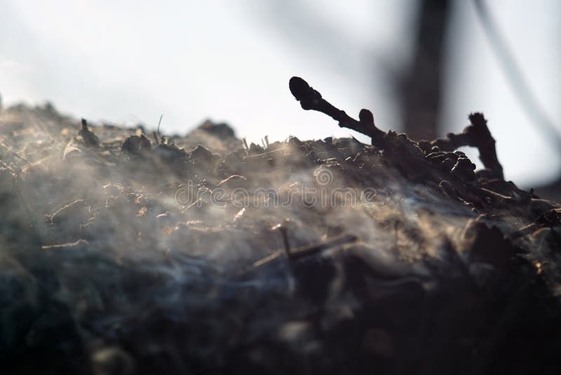 Smoke and Ashes of Bonfire Long Exposure. Close-up Macro Stock Photo ...