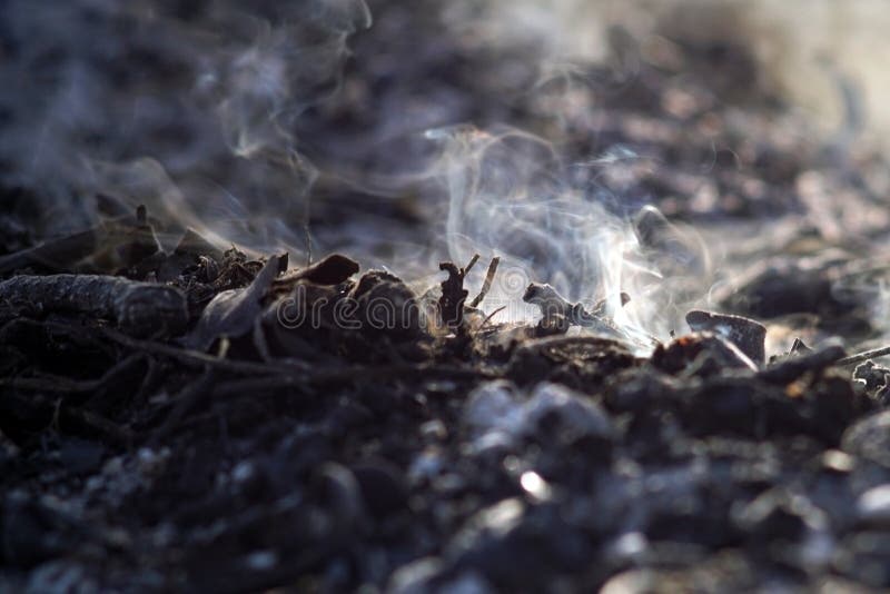 Smoke and Ashes of Bonfire Long Exposure. Close-up Macro Stock Image ...