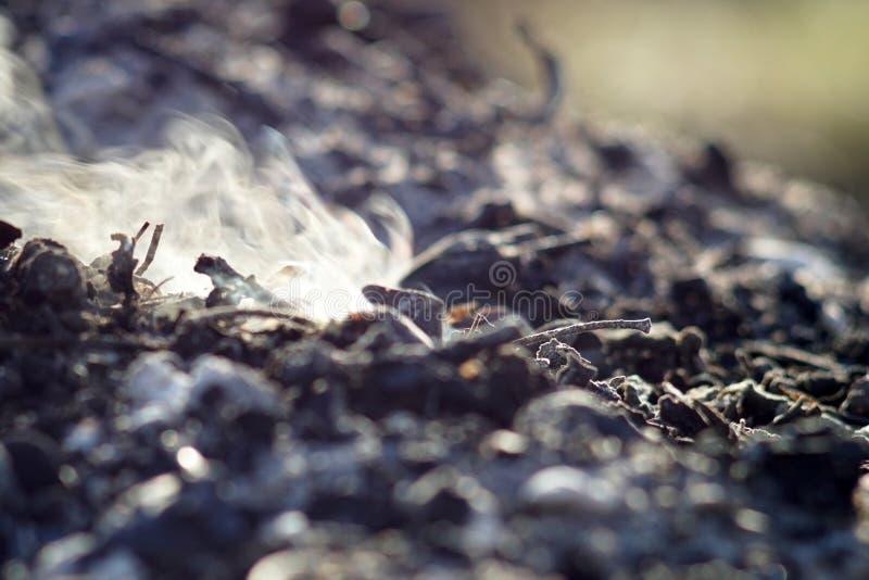 Smoke and Ashes of Bonfire Long Exposure. Close-up Macro Stock Image ...