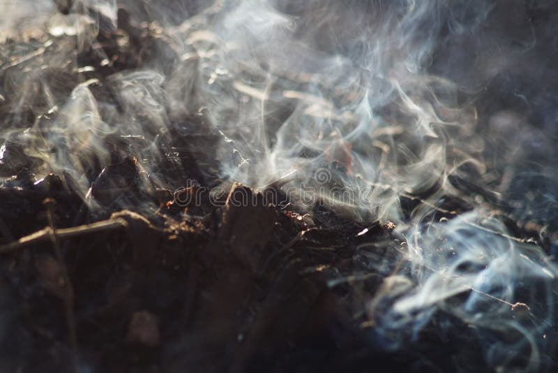 Smoke and Ashes of Bonfire Long Exposure. Close-up Macro Stock Image ...