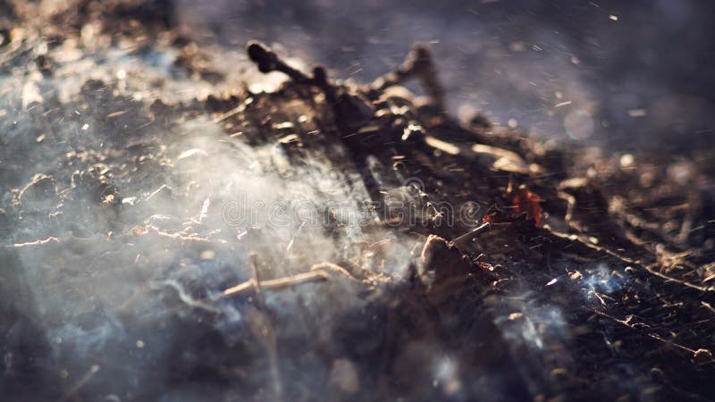 Smoke and Ashes of Bonfire Long Exposure. Close-up Macro Stock Photo ...