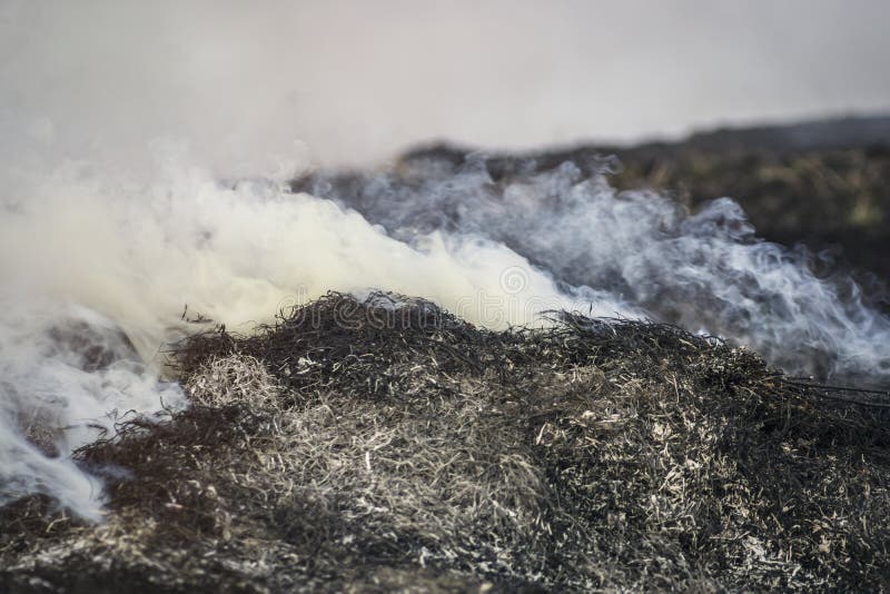 Smoke and Ashes stock photo. Image of insurance, burning - 74304034