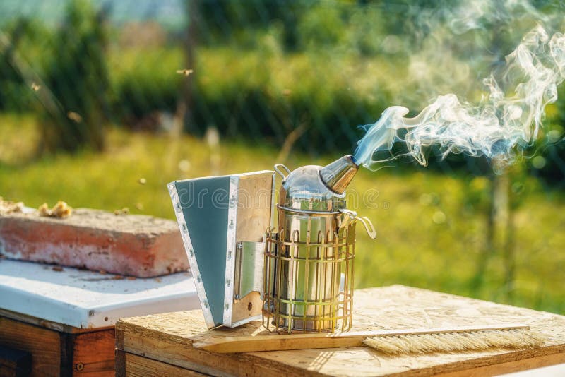 Smoke Beekeeper for Processing Bees by Smoke. Stock Image - Image of ...