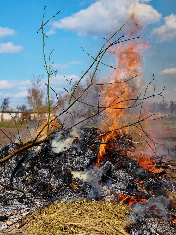 Smoke Billows from a Fire Amidst Dry Grass. Illegal Burning of Leaves ...
