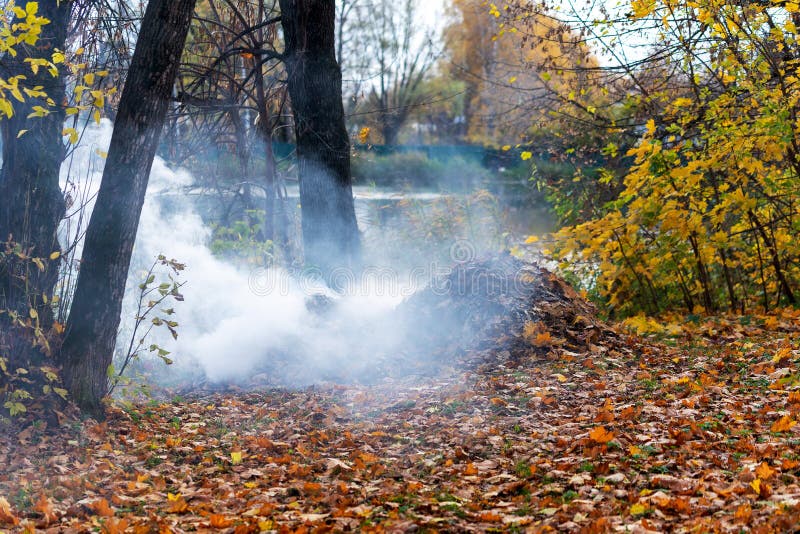 Smoke from Burning Autumn Leaves in the Park. Selective Soft Focus ...