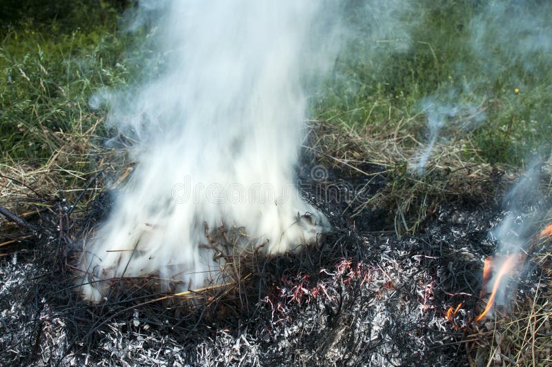 Smoke from Burning Dry Grass Stock Image - Image of flame, damage: 56978029