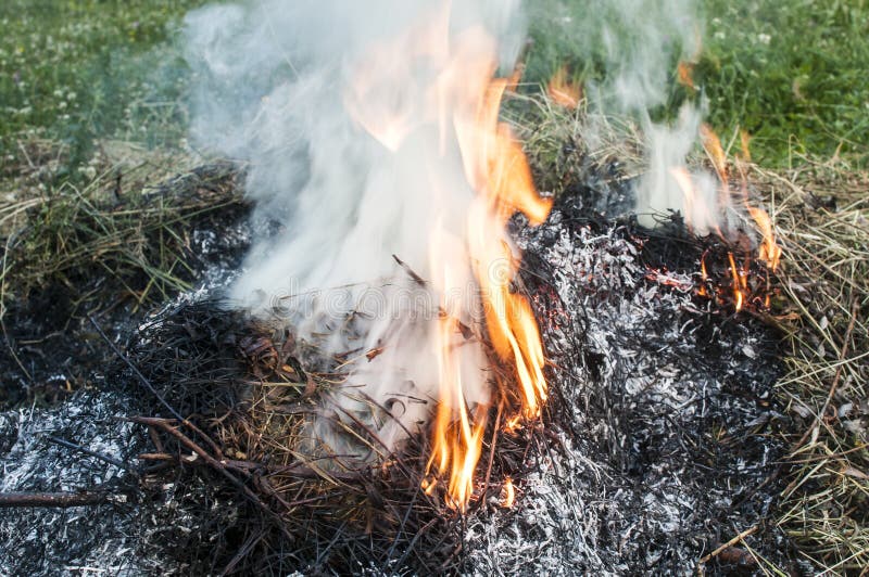 Smoke from Burning Dry Grass Stock Image - Image of burning, loss: 56978059