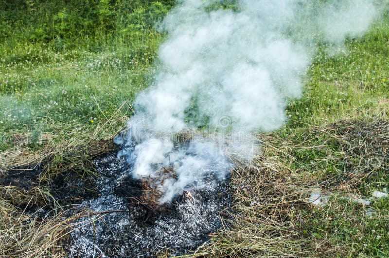 Smoke from Burning Dry Grass Stock Image - Image of outdoor, smoky ...