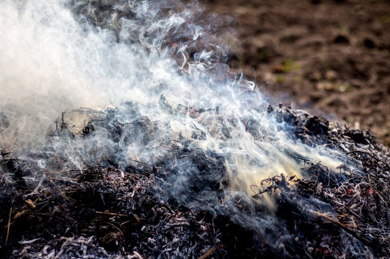 Smoke from Burning Garbage. Pollution of the Environment_ Stock Image ...