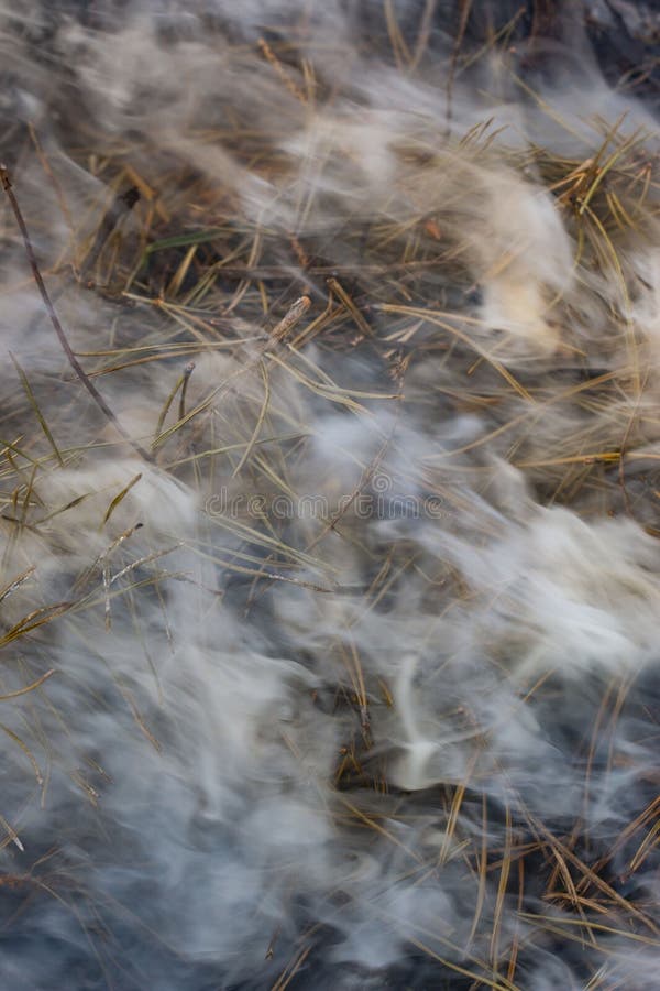 Smoke from Burning Grass As a Background Stock Image - Image of smog ...