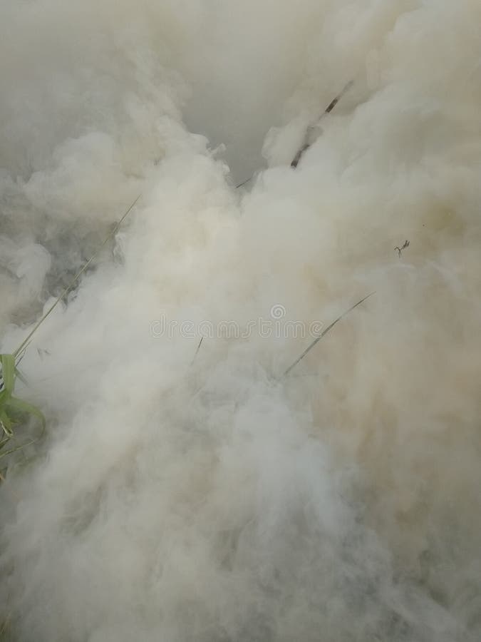 Smoke from Burning Green Grass Waste Stock Photo - Image of smoke ...