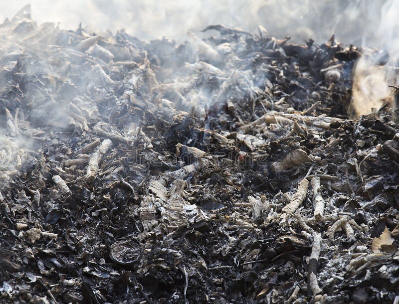 Smoke from burning leaves. stock photo. Image of natural - 39511614