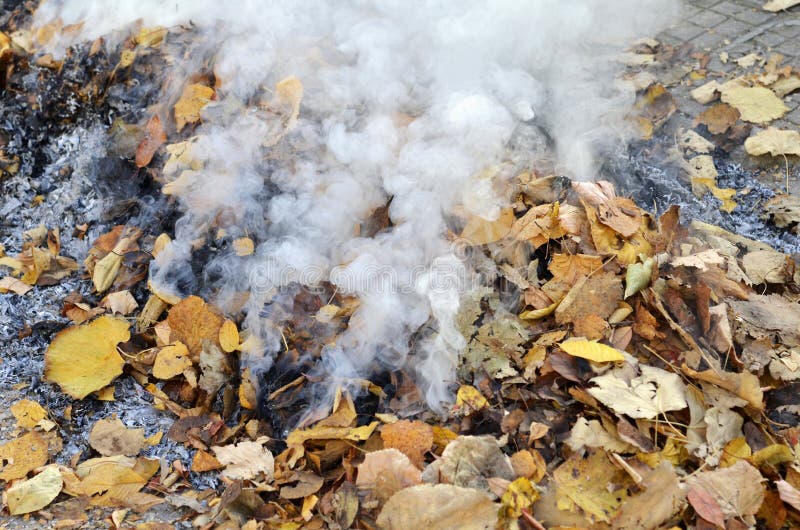 Smoke from burning leaves stock image. Image of emergency - 80139073