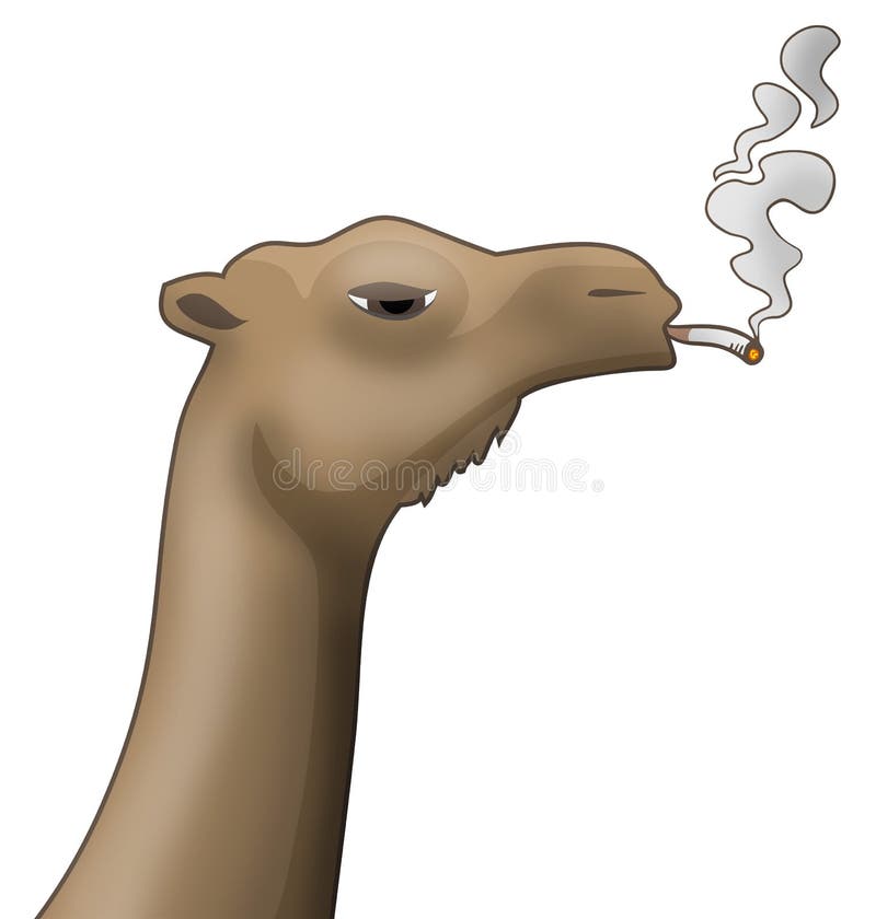 Smoke camel stock illustration. Illustration of herbivorous - 102973117