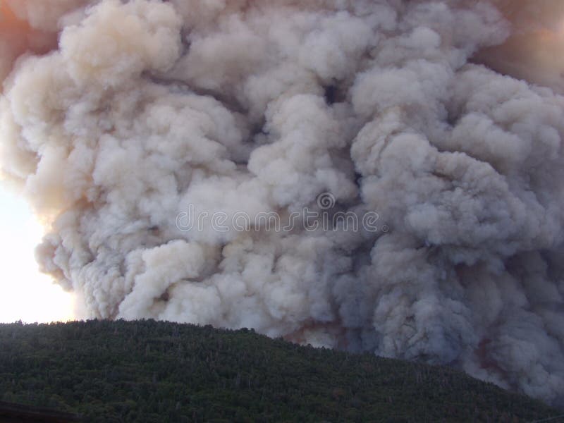 Smoke cloud in forest stock photo. Image of trees, forest - 25553020