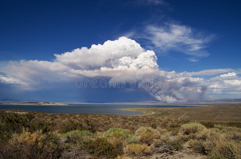 Smoke and Cloud from Forest Fire Stock Image - Image of cloud, lake ...