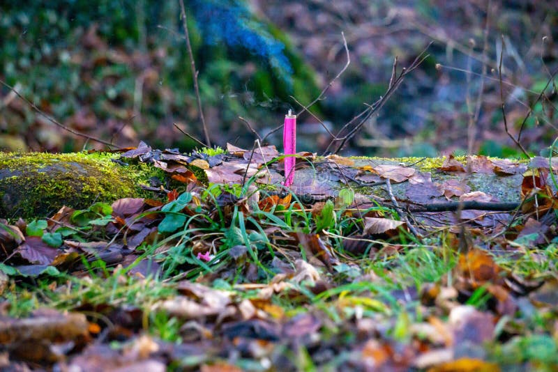 Smoke Coming Out of a Firework with Mossy Trees in the Blurred ...