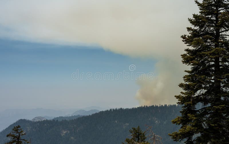 Smoke from Controlled Burn Creates Smoke Cloud Stock Photo - Image of ...