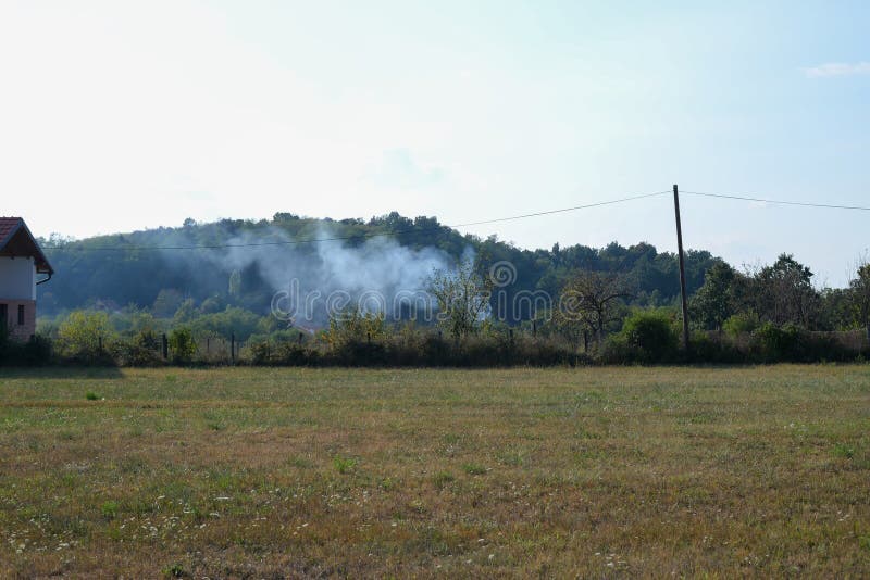 Smoke in the Countryside Seen in Bushes Stock Image - Image of ...