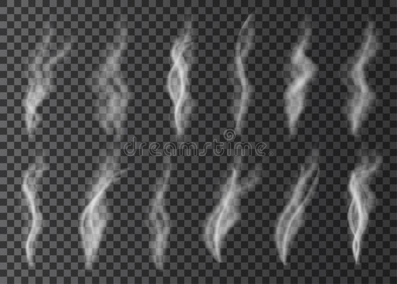 Smoke from a Cup of Hot Coffee or Tea. Stock Vector - Illustration of ...