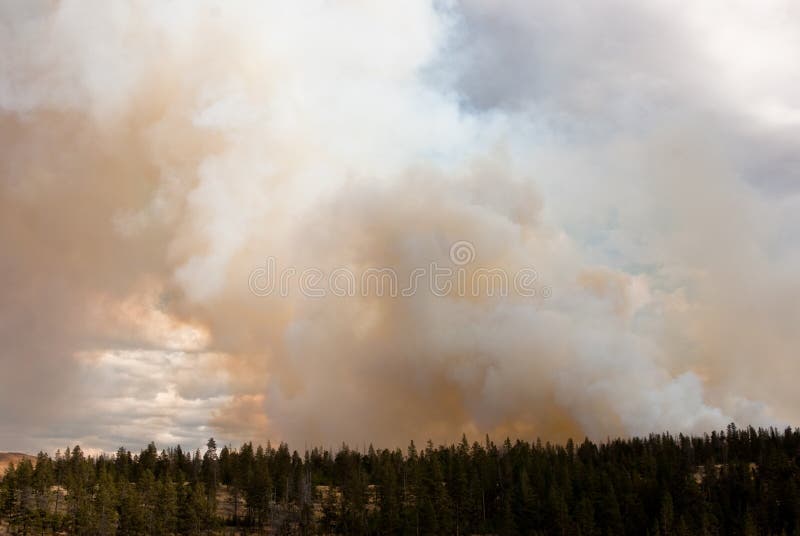Smoke filled sky stock image. Image of forest, outdoors - 17483637