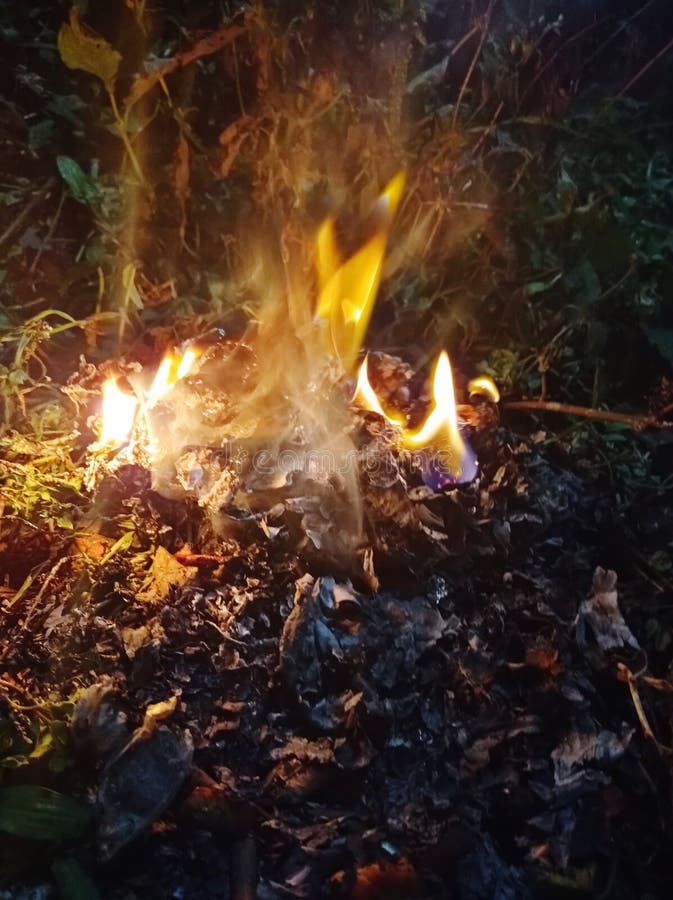 Smoke on the fire stock photo. Image of event, sunlight - 225581954