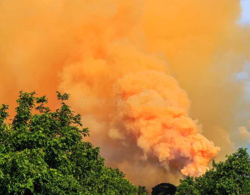 Smoke from fire burning stock image. Image of plant, storage - 56175753