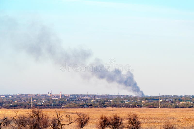 Fat Burn Naturally Livpure Stock Photos - Free & Royalty-Free Stock ...