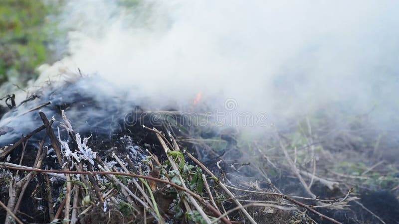 Smoke, Fire and Dry Wood - Fire in the Garden Stock Footage - Video of ...