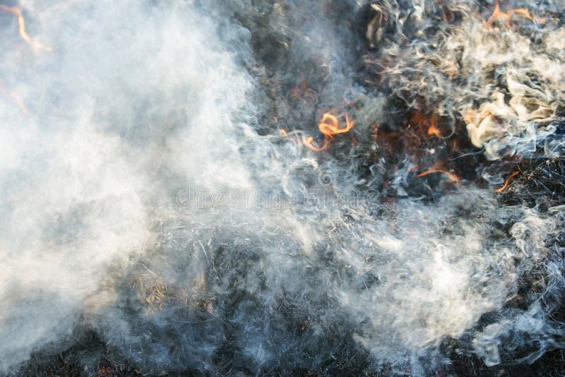 Smoke from fire stock image. Image of backgrounds, destruction - 89418135
