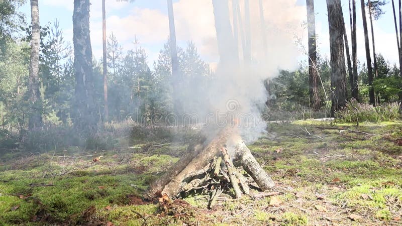 Smoke with Fireplace in the Forest for Heating Up Stock Footage - Video ...