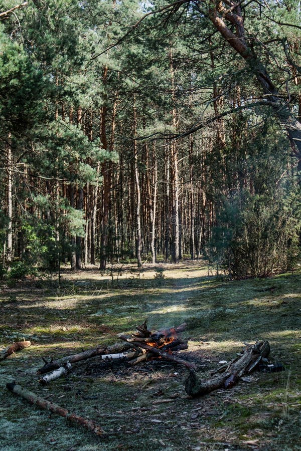 Smoke with Fireplace in the Forest for Heating Up Stock Image - Image ...